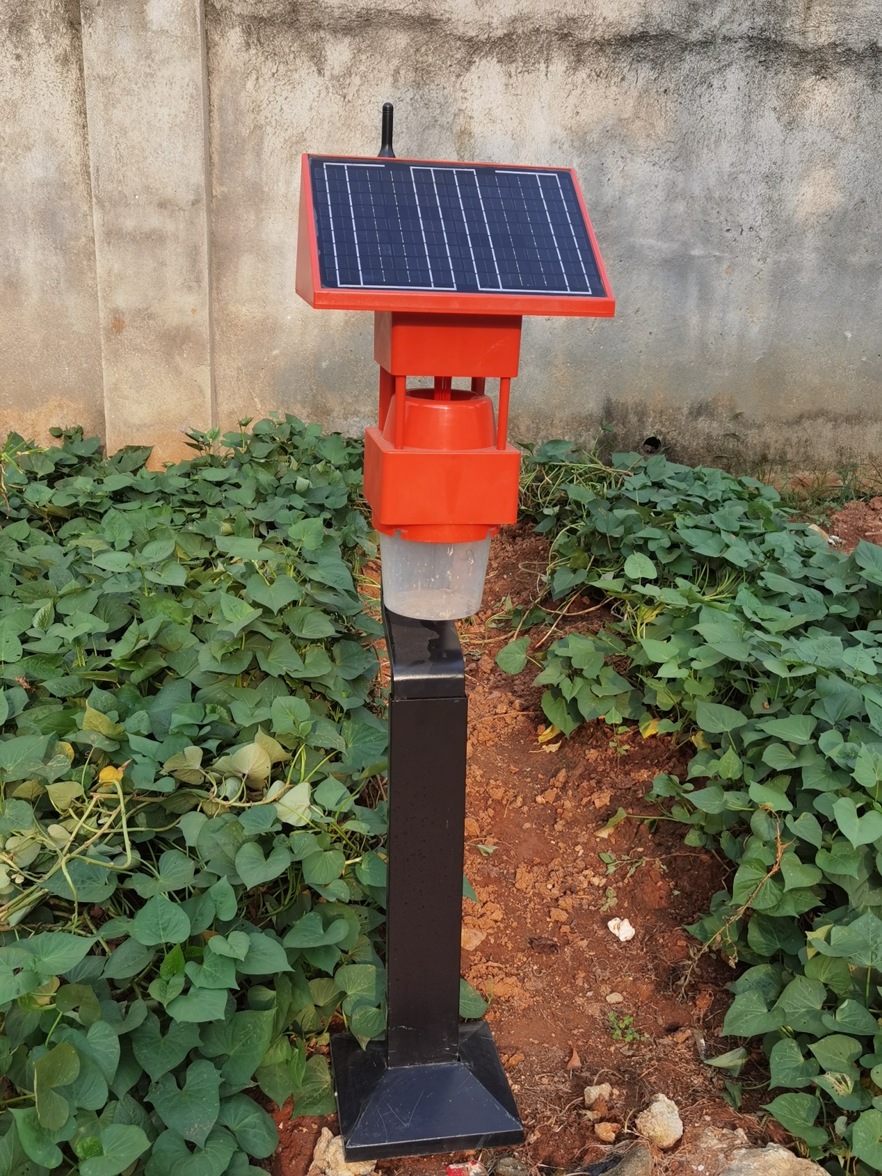 智能虫情性诱测报仪——艾姆AIM-Lite A型 - 中捷四方